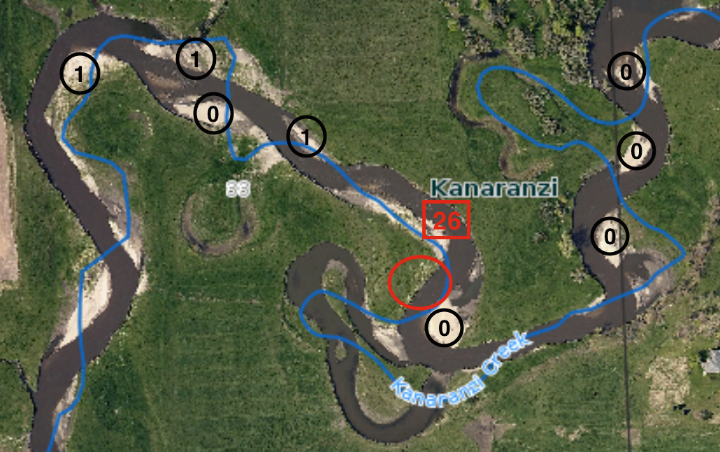 Prehistoric Corn Cobs | Lone Tree Farm on Kanaranzi Creek