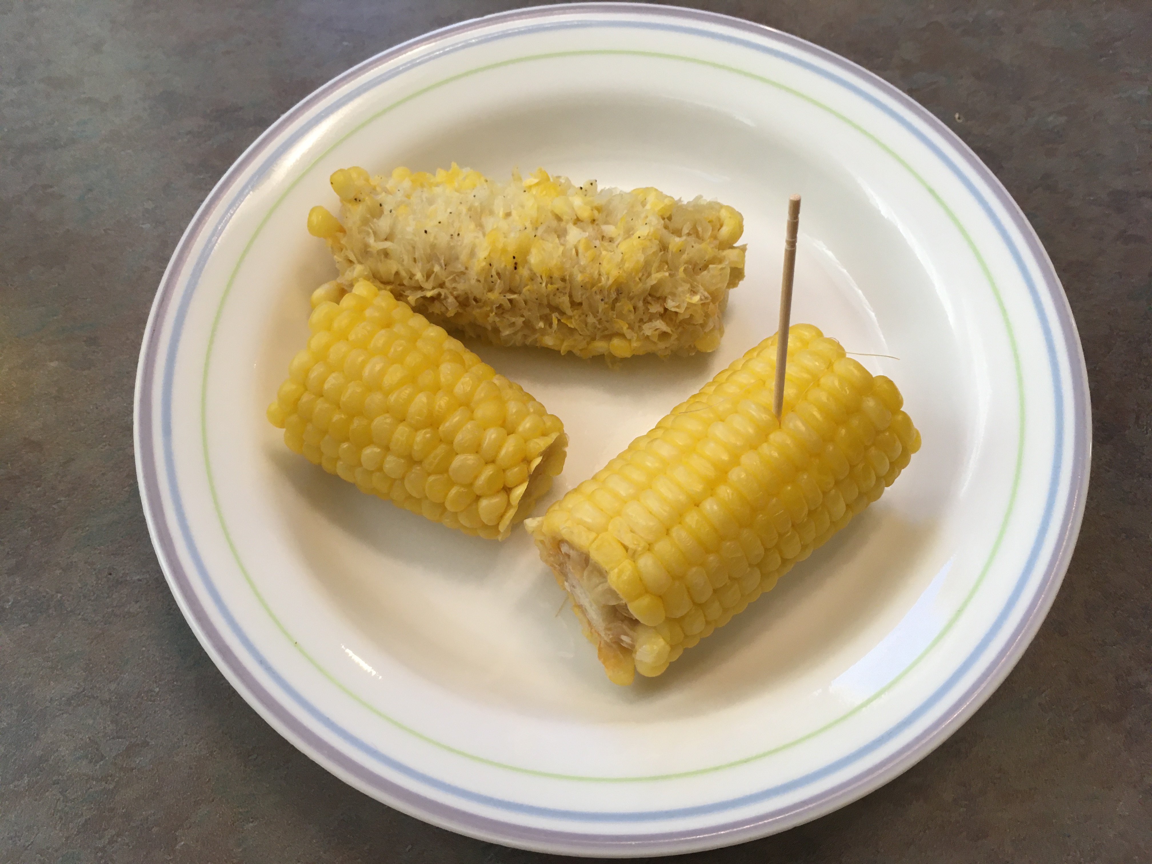 Prehistoric Corn Cobs | Lone Tree Farm on Kanaranzi Creek