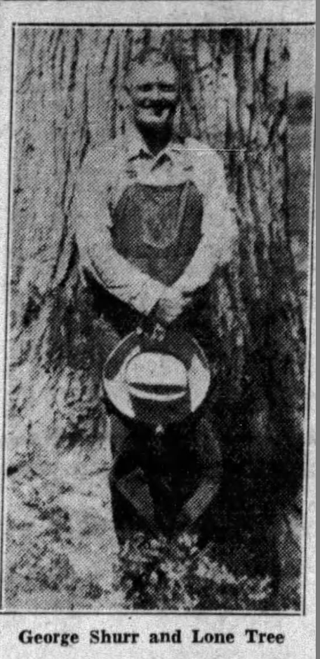 Landmark Legends | Lone Tree Farm on Kanaranzi Creek